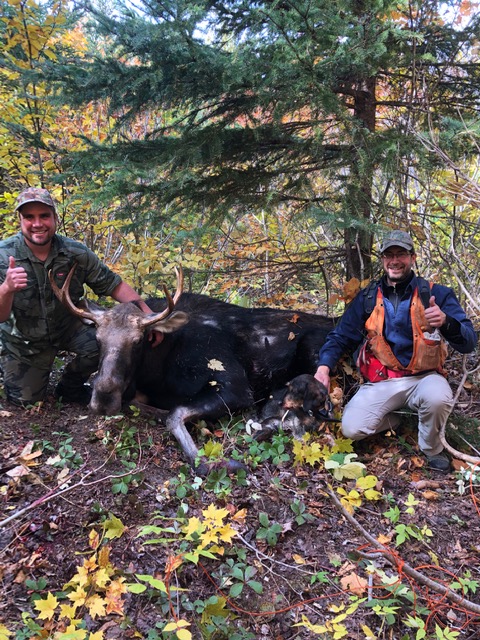 Mathieu-Charles Déry Orignal 2020 | La pourvoirie de la Seigneurie du ...